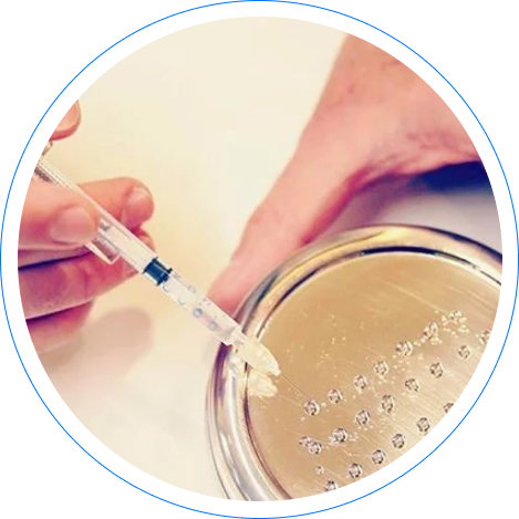 Juvapen Expert | Discover Painless Injection Technology